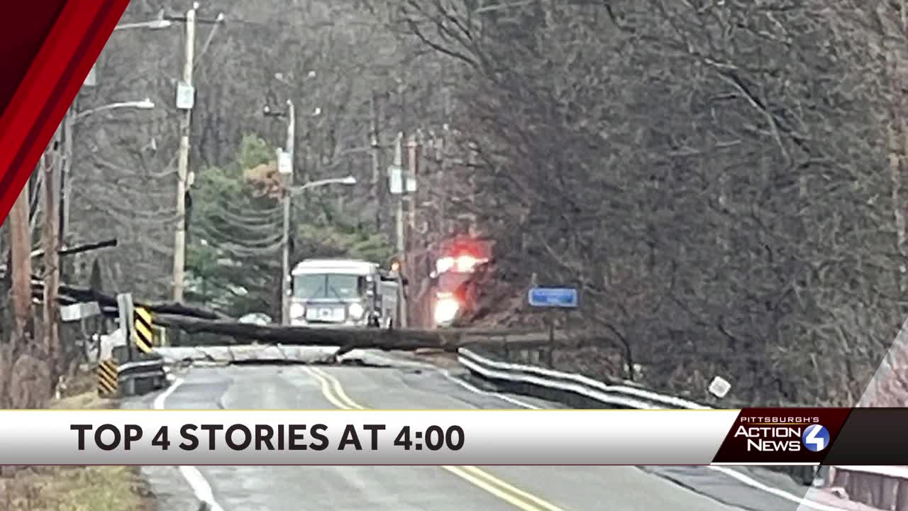 Tree blocks road in Moon Township, Hundreds without power