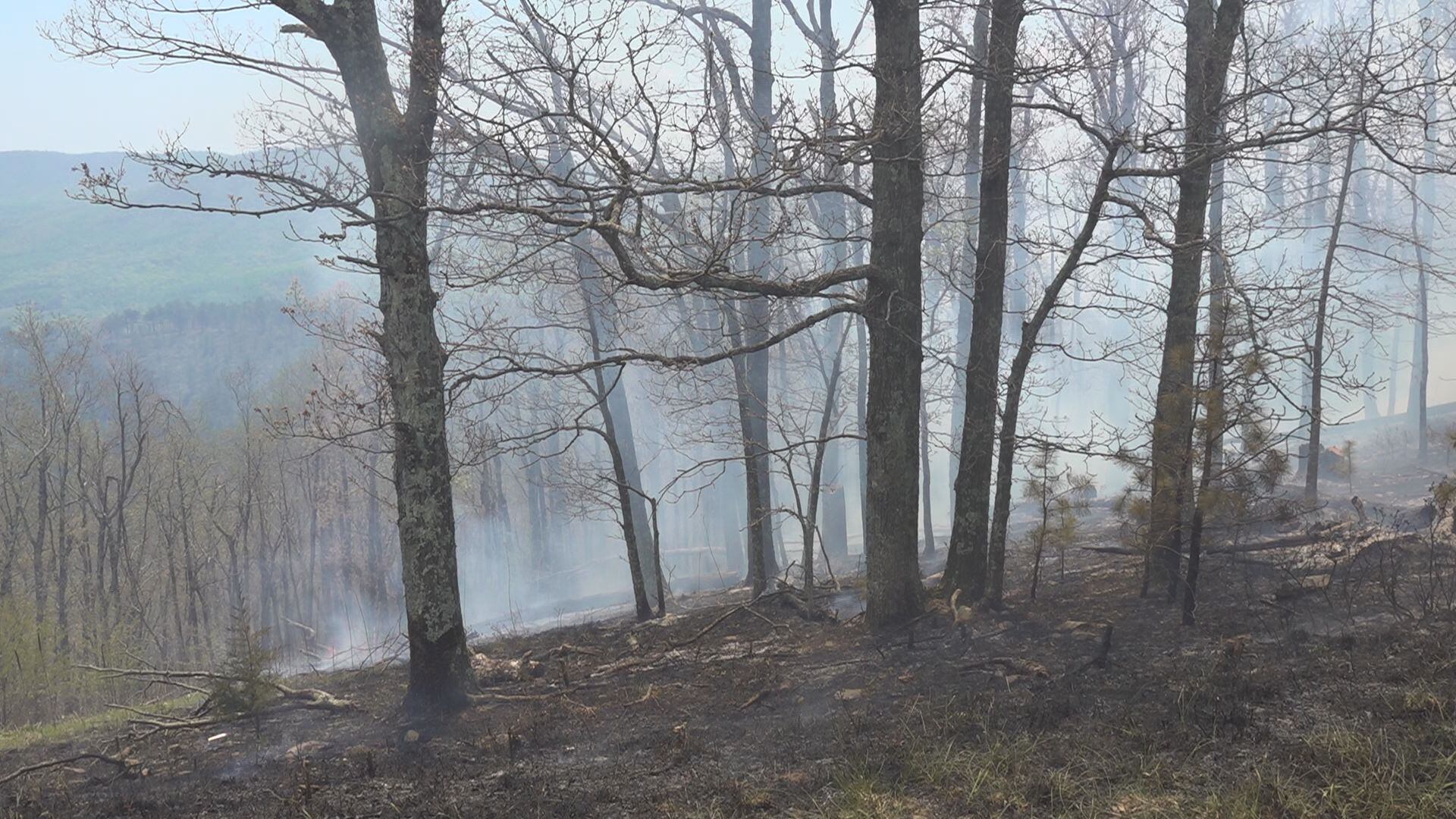 VA Department of Forestry: Not all fire is bad fire