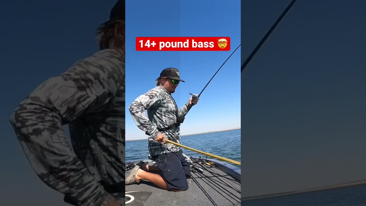 How a 14.7lb Bass Was Caught on a Simple Swimbait