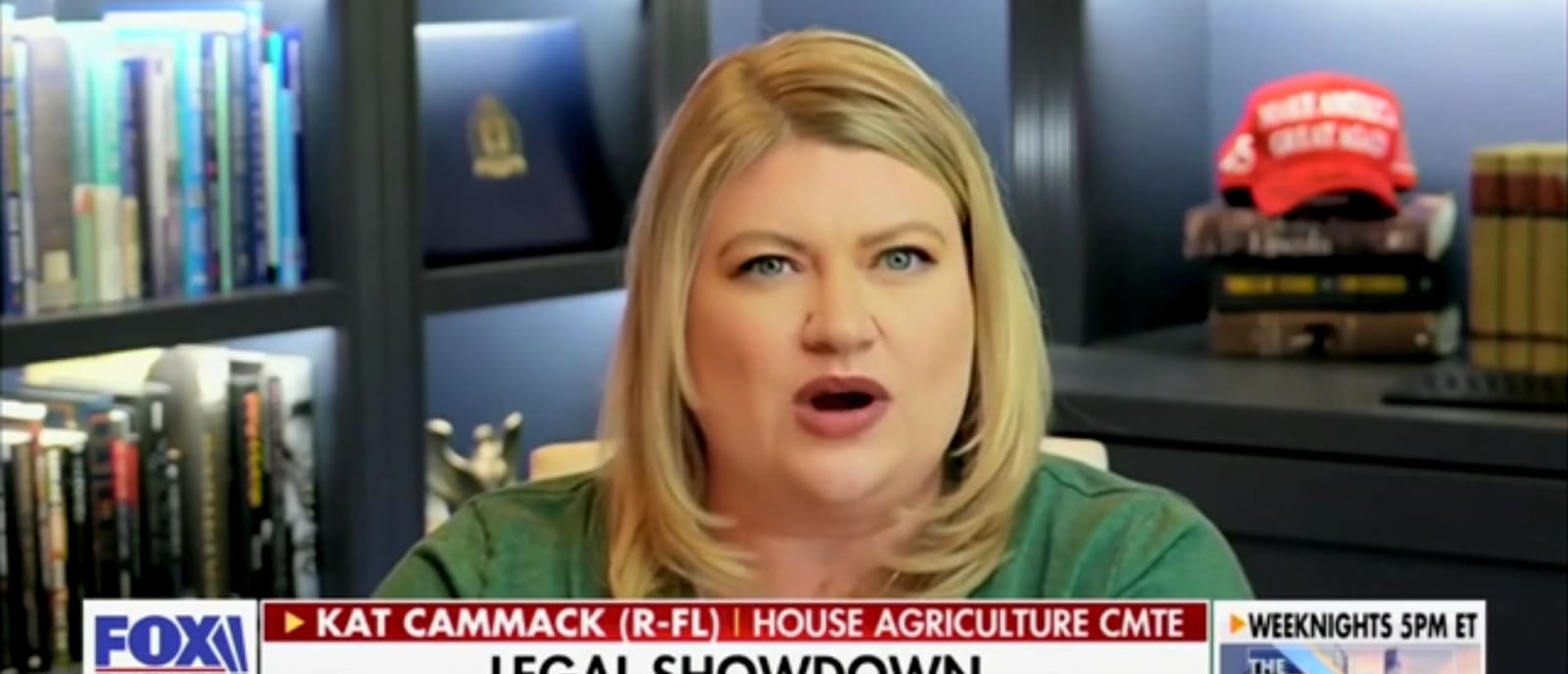 House Rep Discusses Plan To Take On Activist Judges