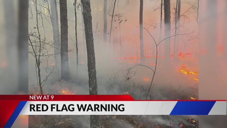 Elevated fire risk prompts warning from Governor Kehoe