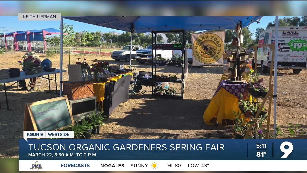Spring into gardening: Tucson Organic Gardeners' fair offers plants and ...