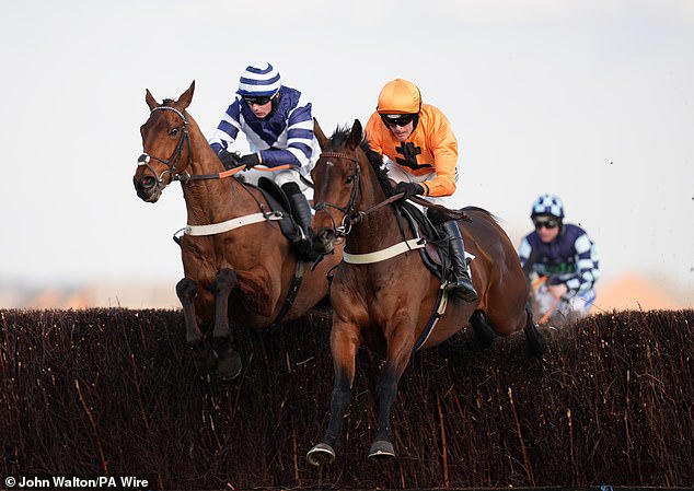 Robin Goodfellow's racing tips: Best bets for Friday, March 21