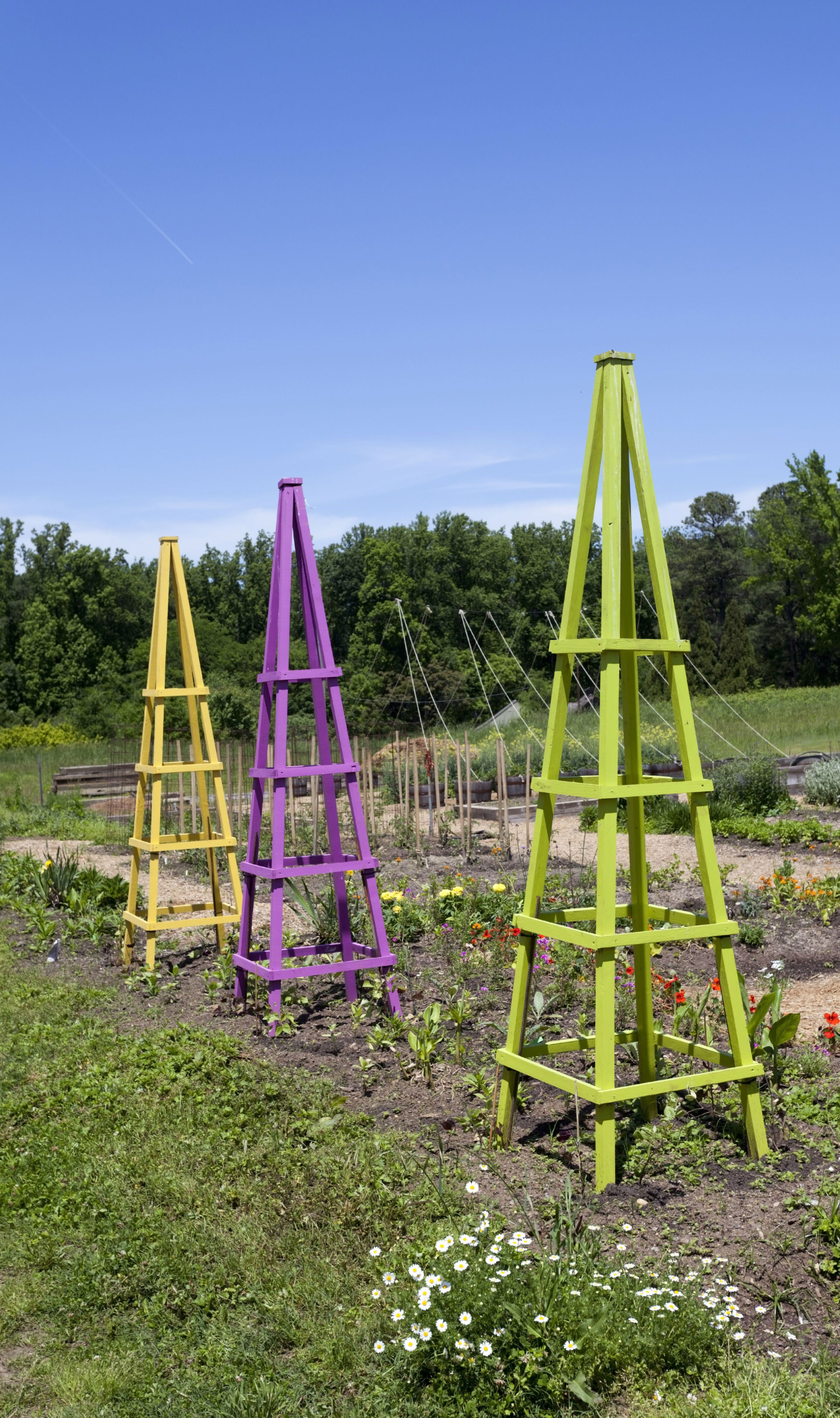 40 Smart Trellis Ideas to Take Your Garden to New Heights