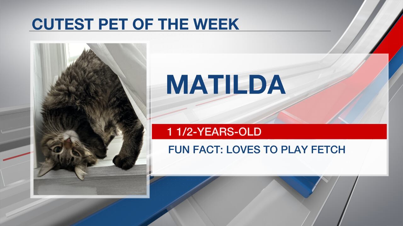 Cutest pet of the week: Matilda