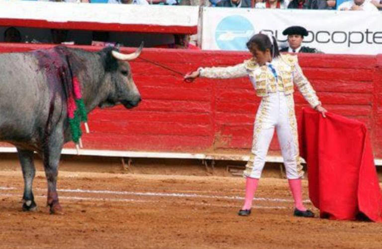No sólo quieren acabar con las corridas, también con el toro bravo ...