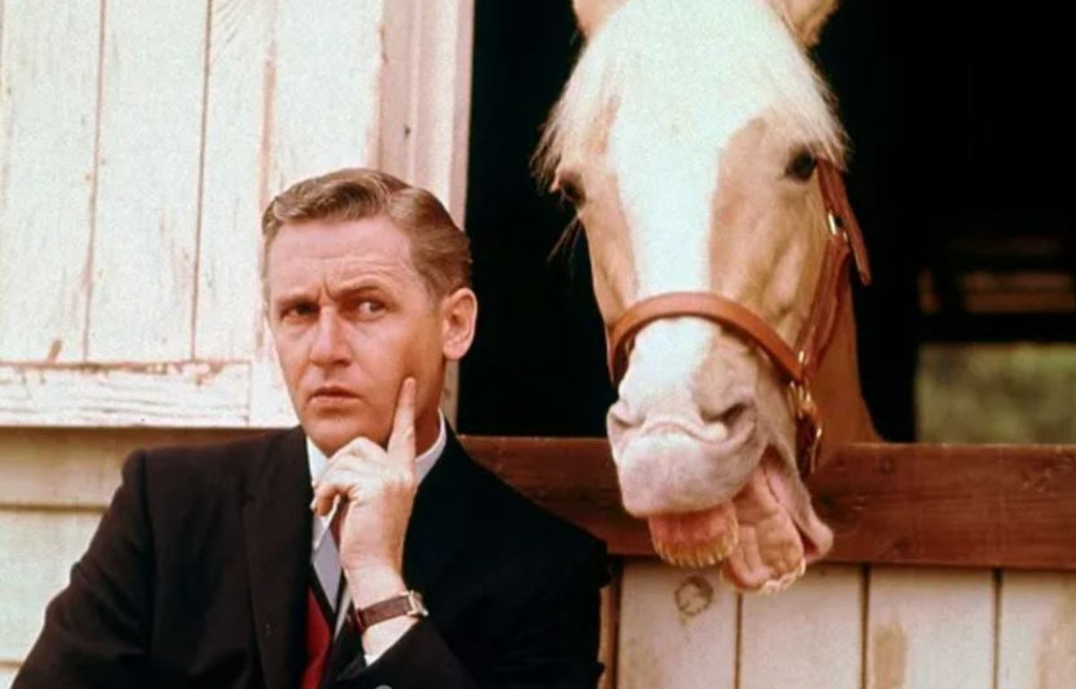 25 movie and TV animals you’ll never forget