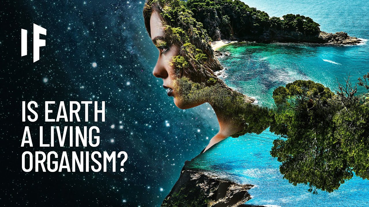 Earth as One Living Organism: What If It Were Alive?