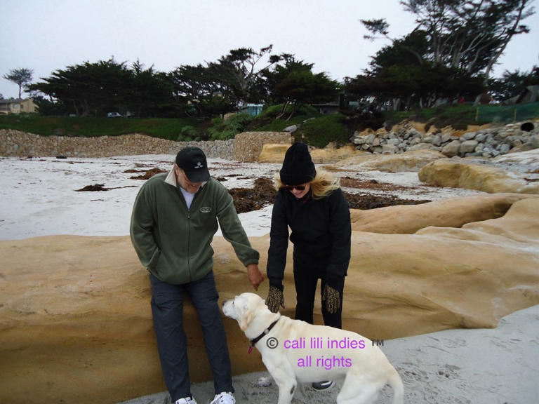 Wings Hauser, ‘Yellowstone’ star Cole Hauser’s father and ‘Young and ...