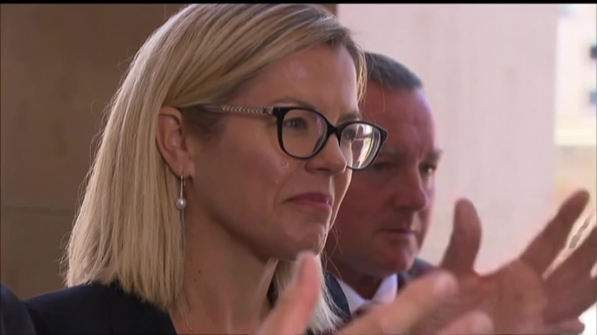 Libby Mettam steps down as WA Liberal leader