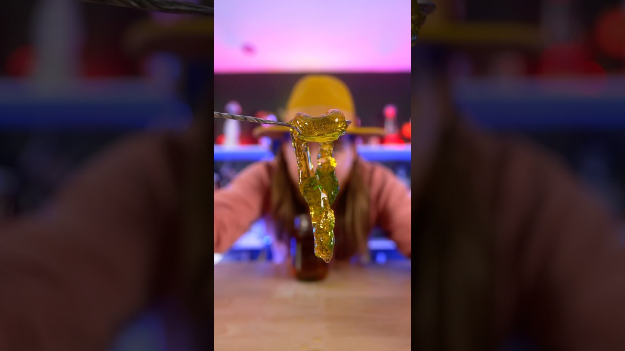 Snake in Rum—A Week-Long Infusion of Curiosity