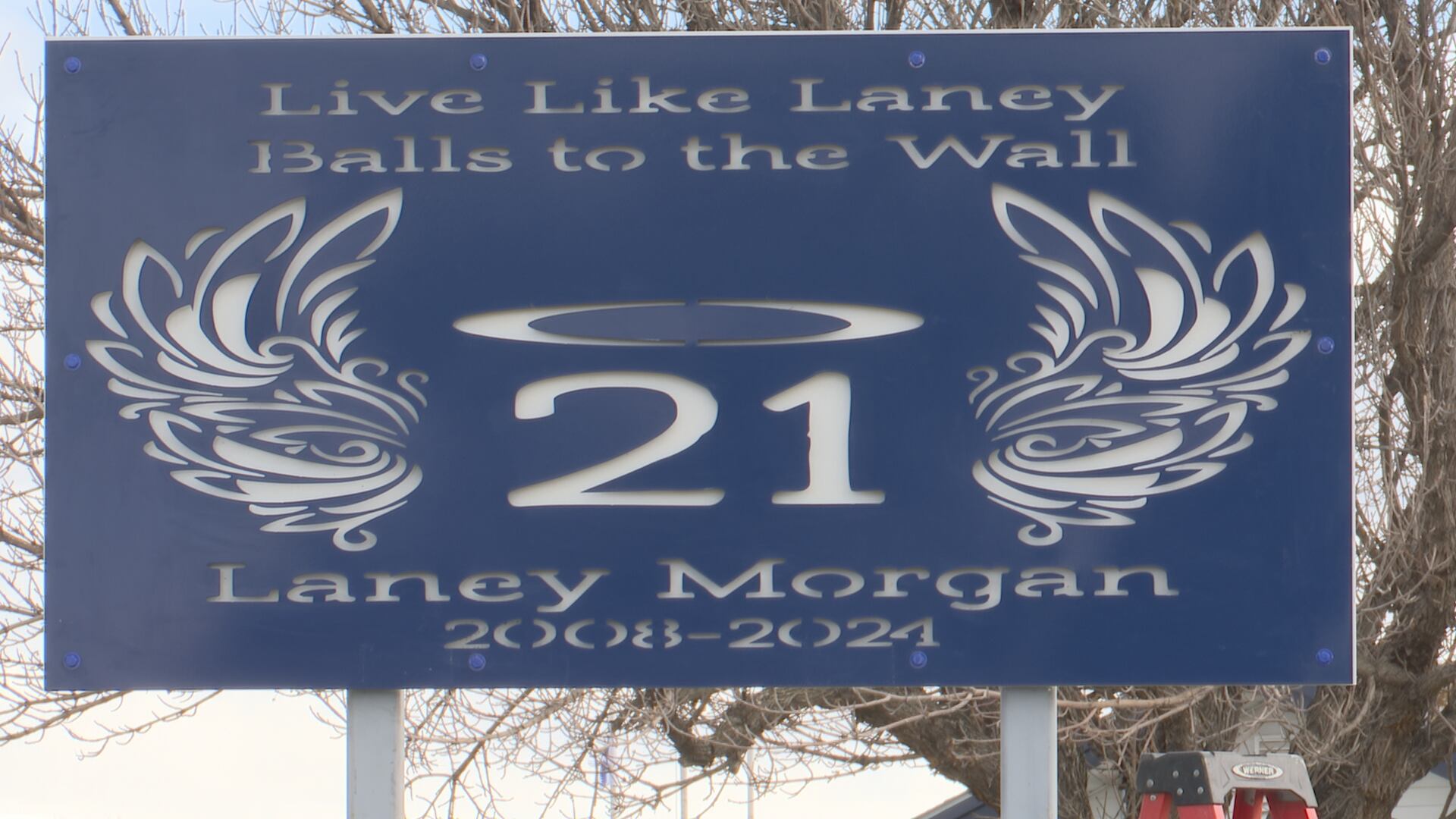 Laney Morgan memorial unveiled at Twin Falls High School softball field