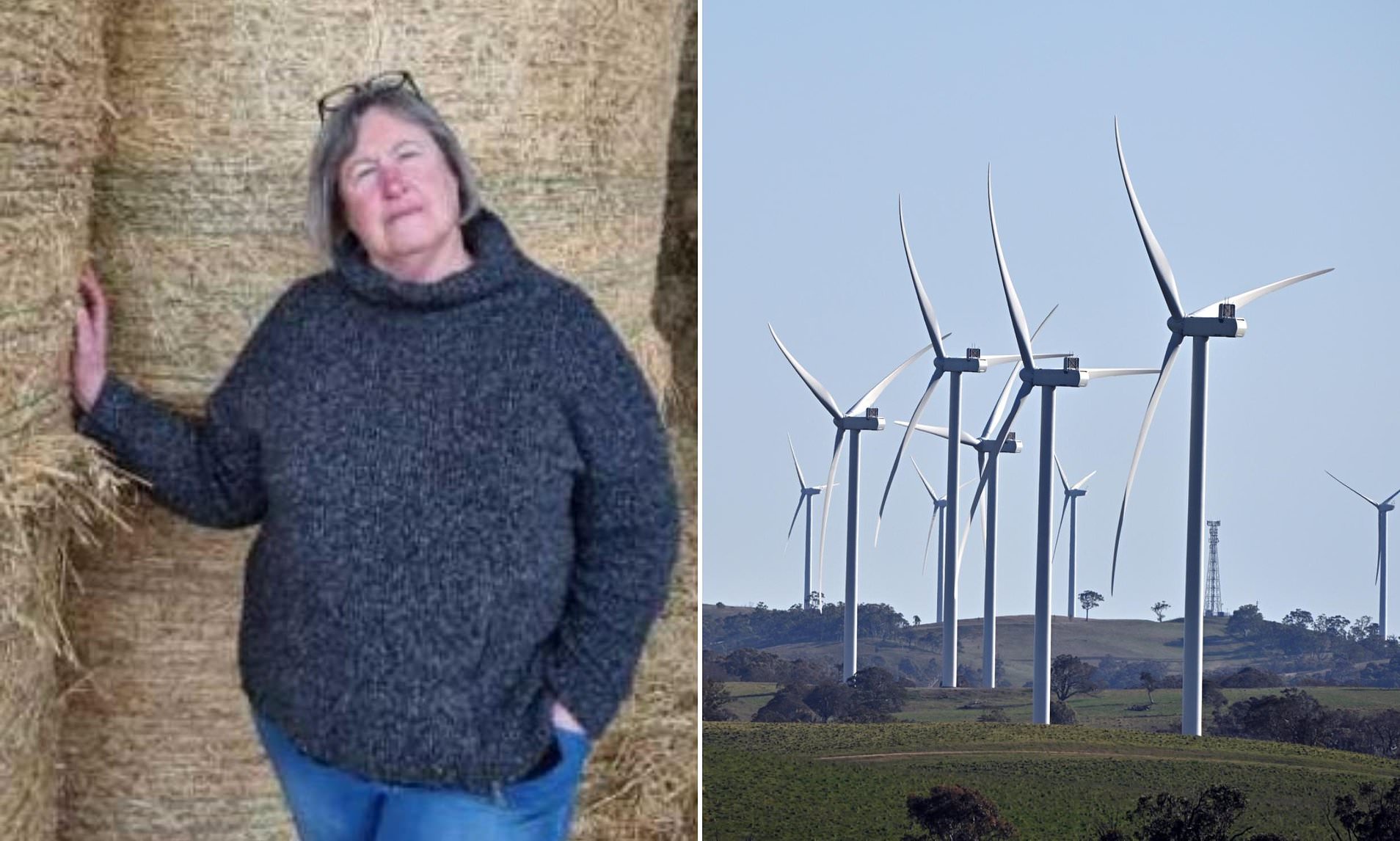 Furious backlash over wind farm that could tower over tourist hotspot