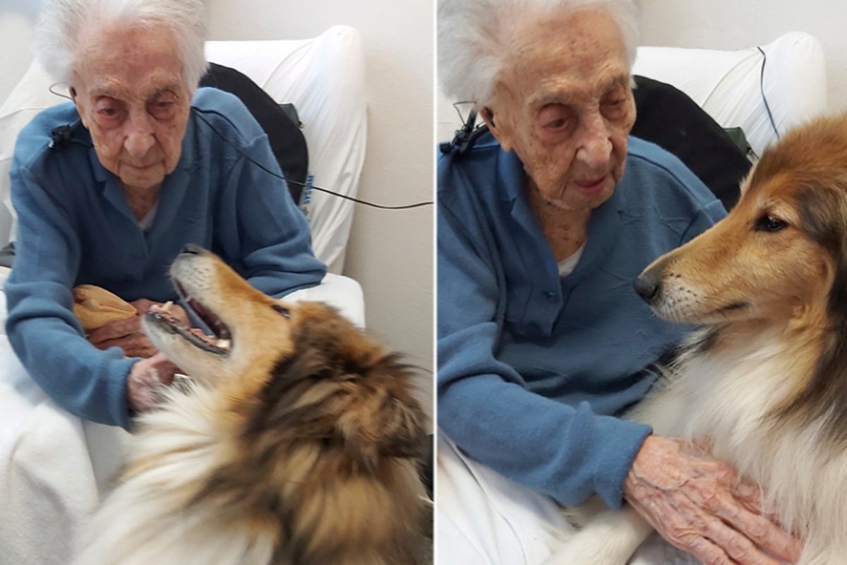 Was this common food key to Maria Branyas Morera living to 117?