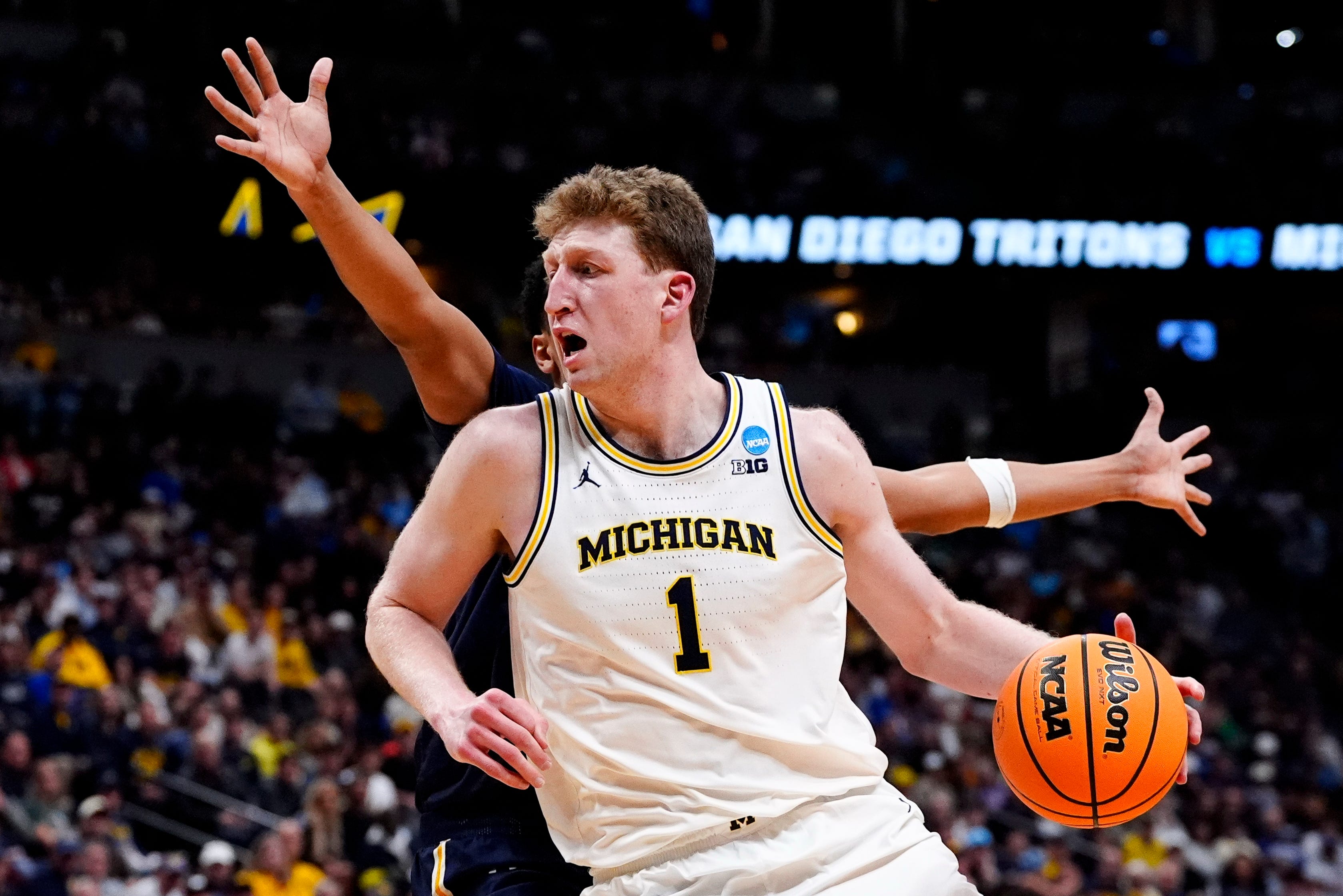 Michigan basketball C Danny Wolf picked in first round of NBA draft ...