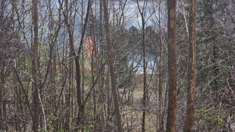 Quick response by Lake Ozark Fire Department prevents damage to ...