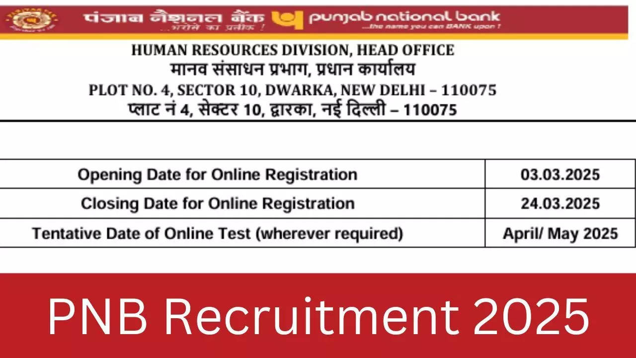 PNB Recruitment 2025: 350 vacancies - Apply online at pnbindia.in