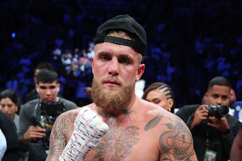 Jake Paul accepts Gerwyn Price boxing match with bold reply after 'one ...