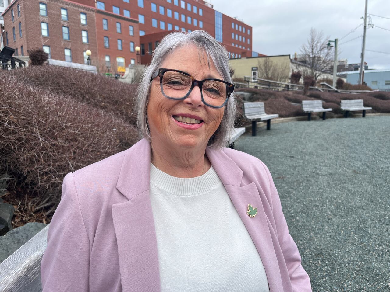 With a federal election looming, N.L.'s political landscape is in for a ...