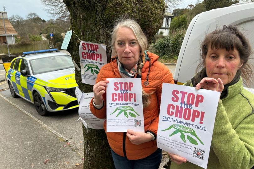Cornwall tree protesters gear up for more confrontation as council goes ...