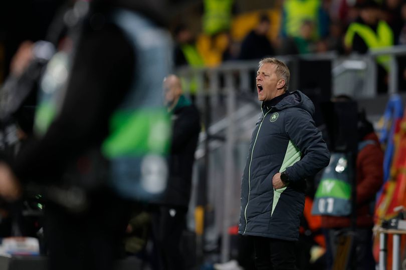 Ireland boss singles out Wolves main for praise after victory over Bulgaria