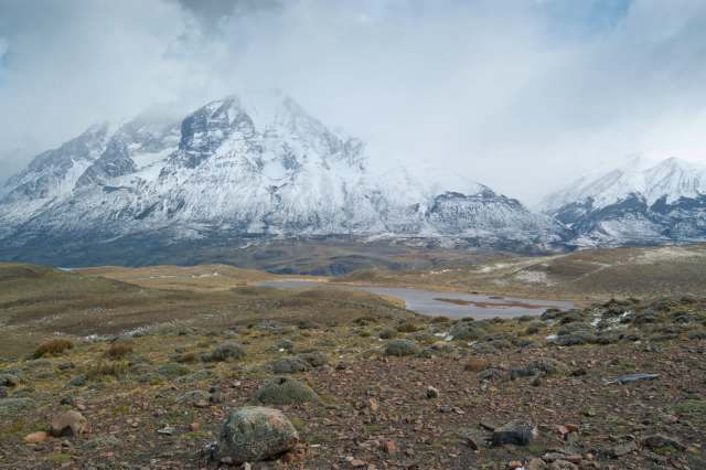 Scientists delighted by footage as rare creature approaches trail ...