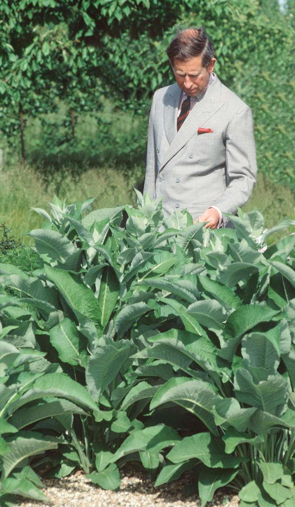 King Charles' most divisive eco moves that prove he's the ultimate game ...
