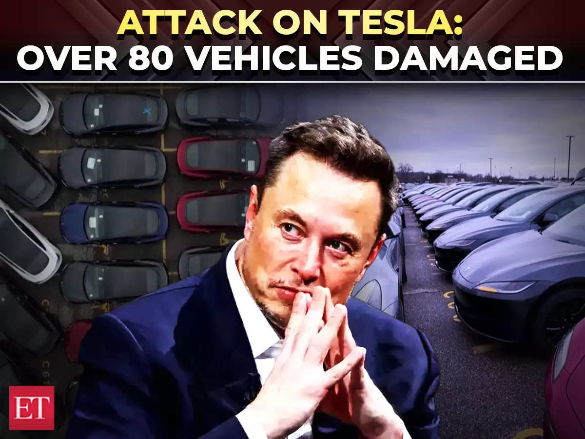 Attack on Tesla: Over 80 cars damaged overnight in Hamilton, Canada ...