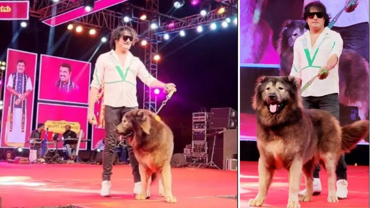 Indian man buys world's most expensive pet dog worth INR 50 crore: All ...