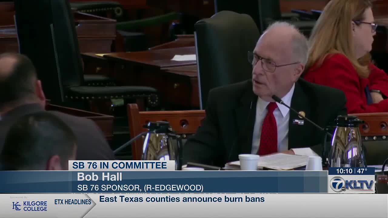 Sen. Hall’s bill to eliminate countywide voting hotly debated in committee