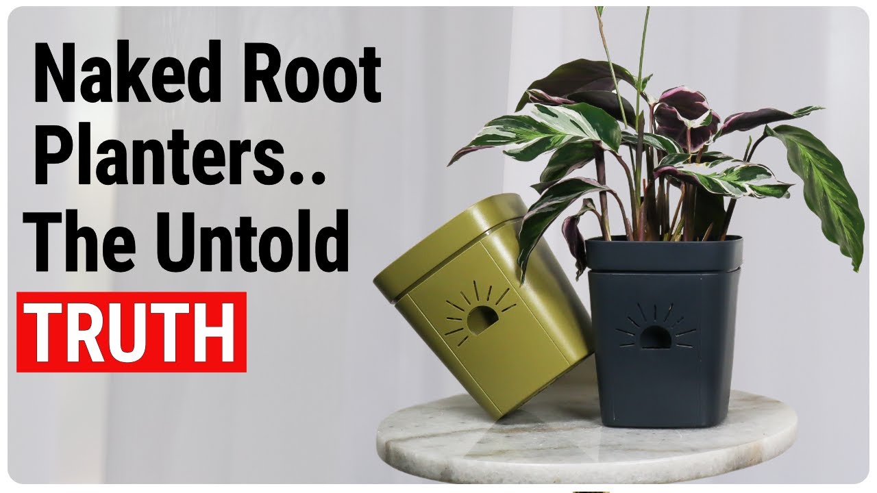 Naked Root Planters Are They Worth the Hype