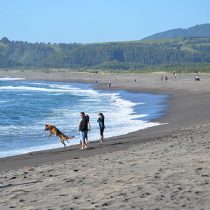 Buchupureo, el destino de Ñuble que combina olas, naturaleza y descanso