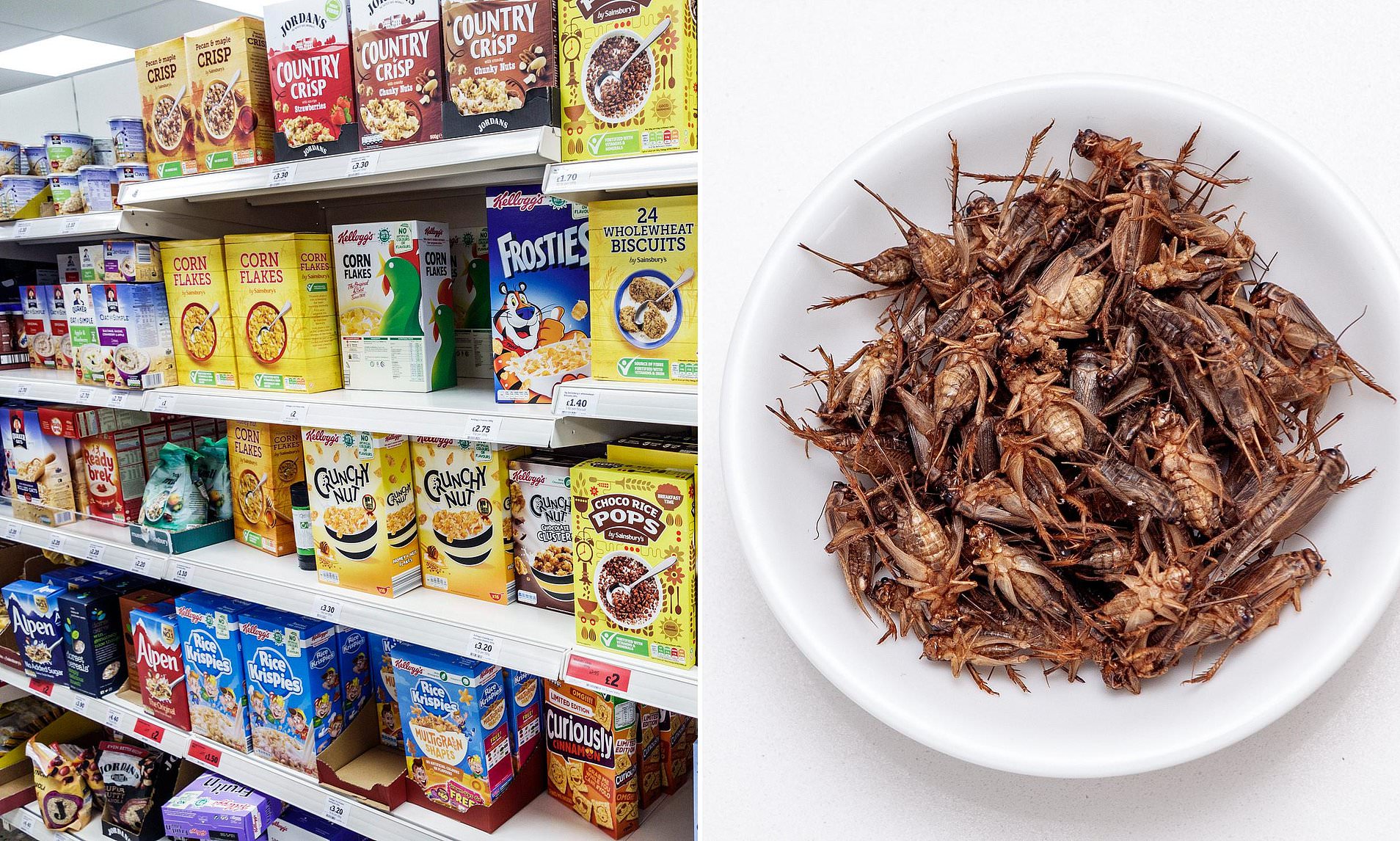 'Do not eat' warning on cereal favourite over fear it contains INSECTS
