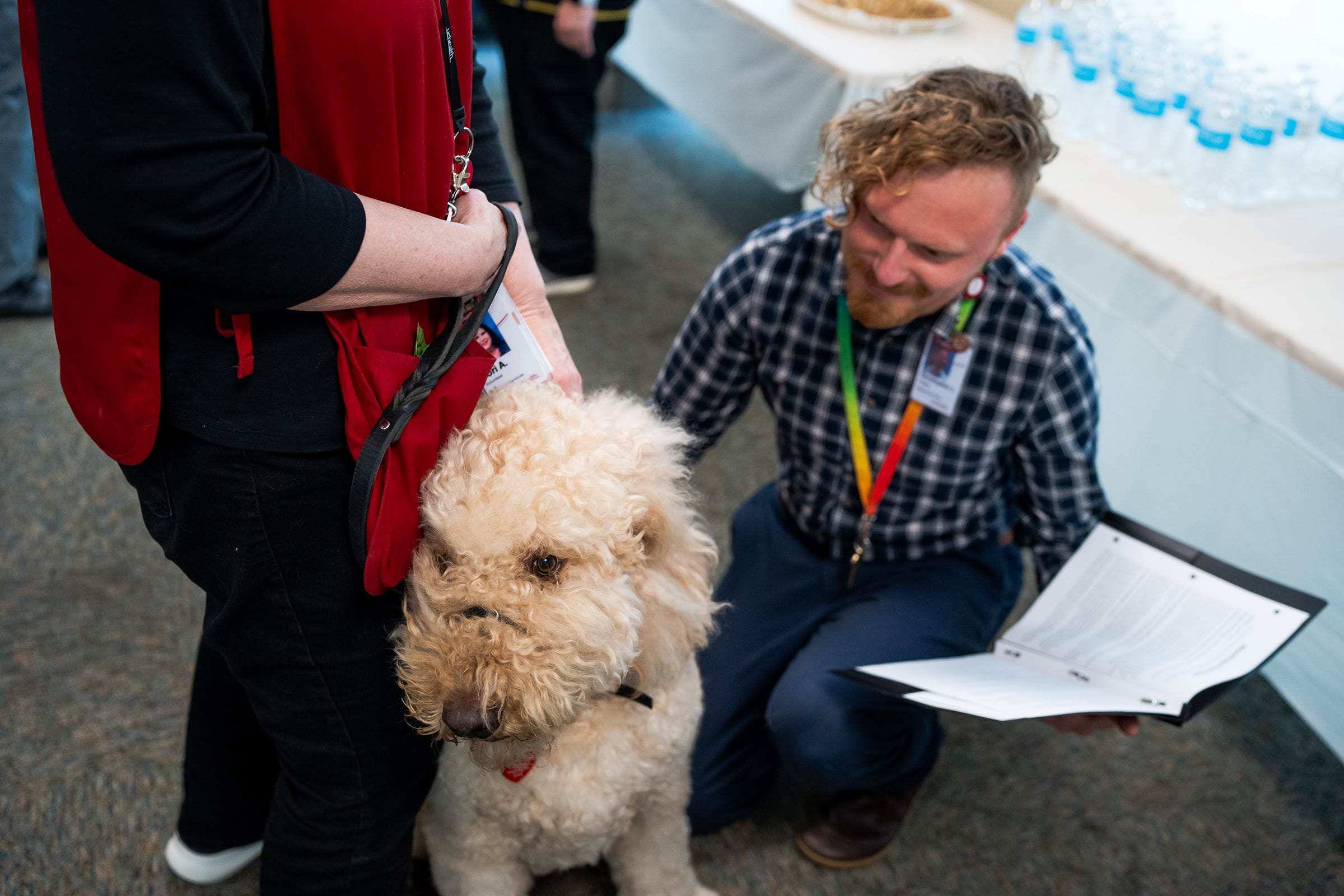 'Connection heals': UCHealth chaplains bless therapy dogs at Blessing ...