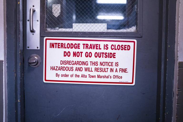 30 Inches In 24 Hours: Alta Ski Area's Surprise Powder Day for the Ages