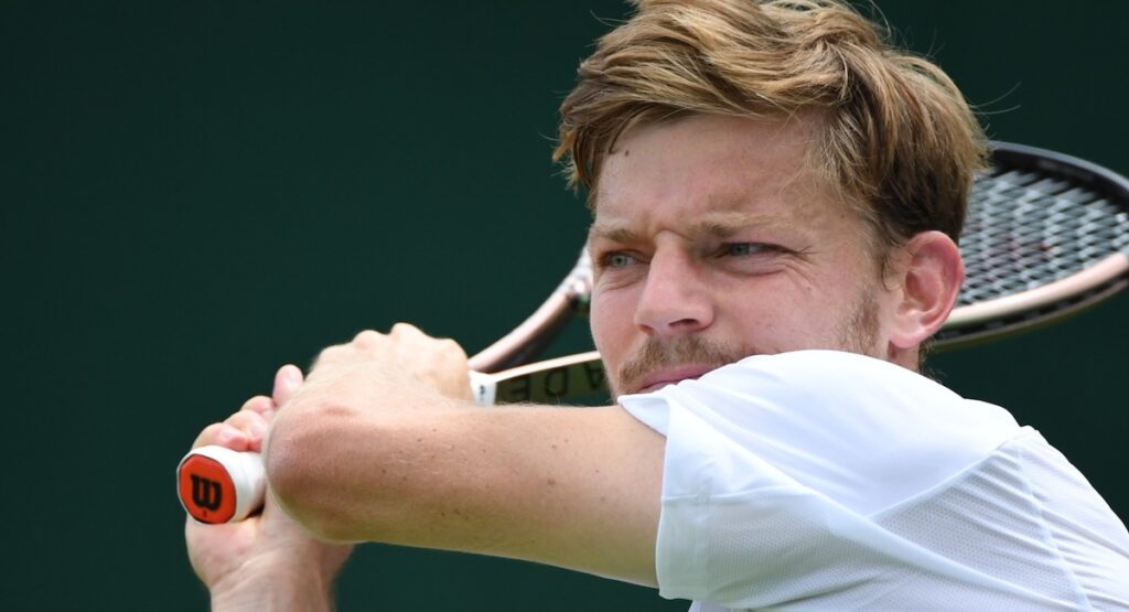 David Goffin, après son exploit contre Carlos Alcaraz : « Même si je ...