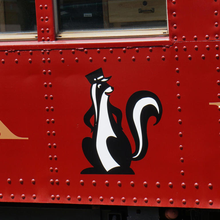 California's Secret Train! Visit Postcard Beaches & Towering Redwoods