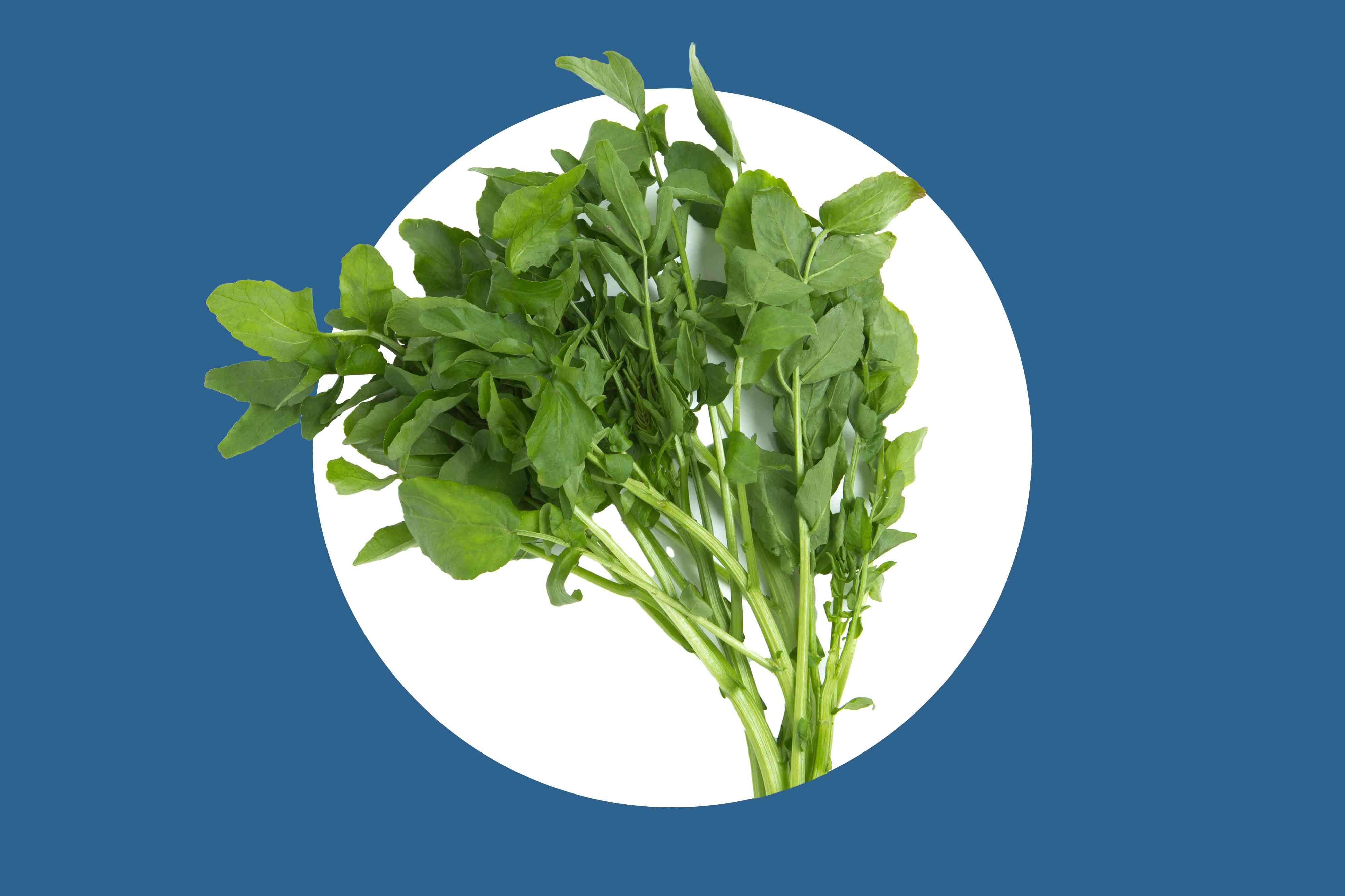 Watercress Is the Healthiest Vegetable According to the CDC — Here’s ...