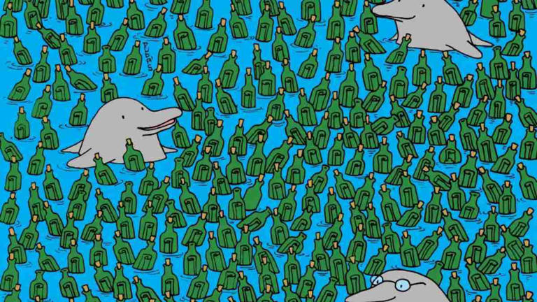 Picture Puzzle IQ Test: Are You Observant Enough? Spot 5 Empty Bottles ...