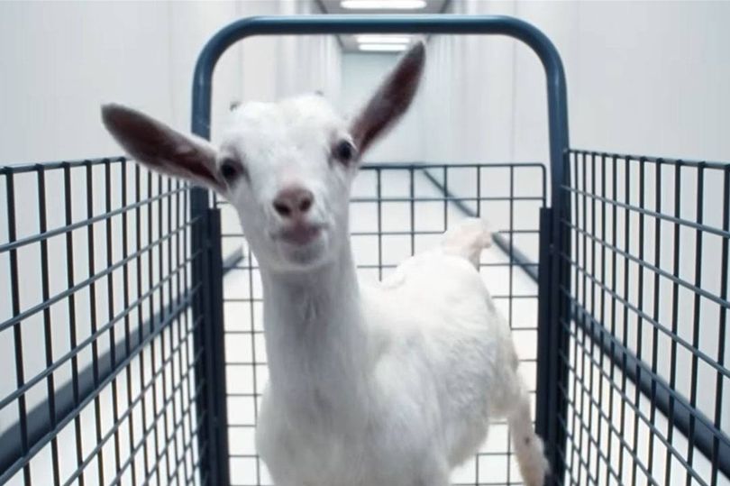 Severance season 2 finale leaves fans with major unanswered question ...