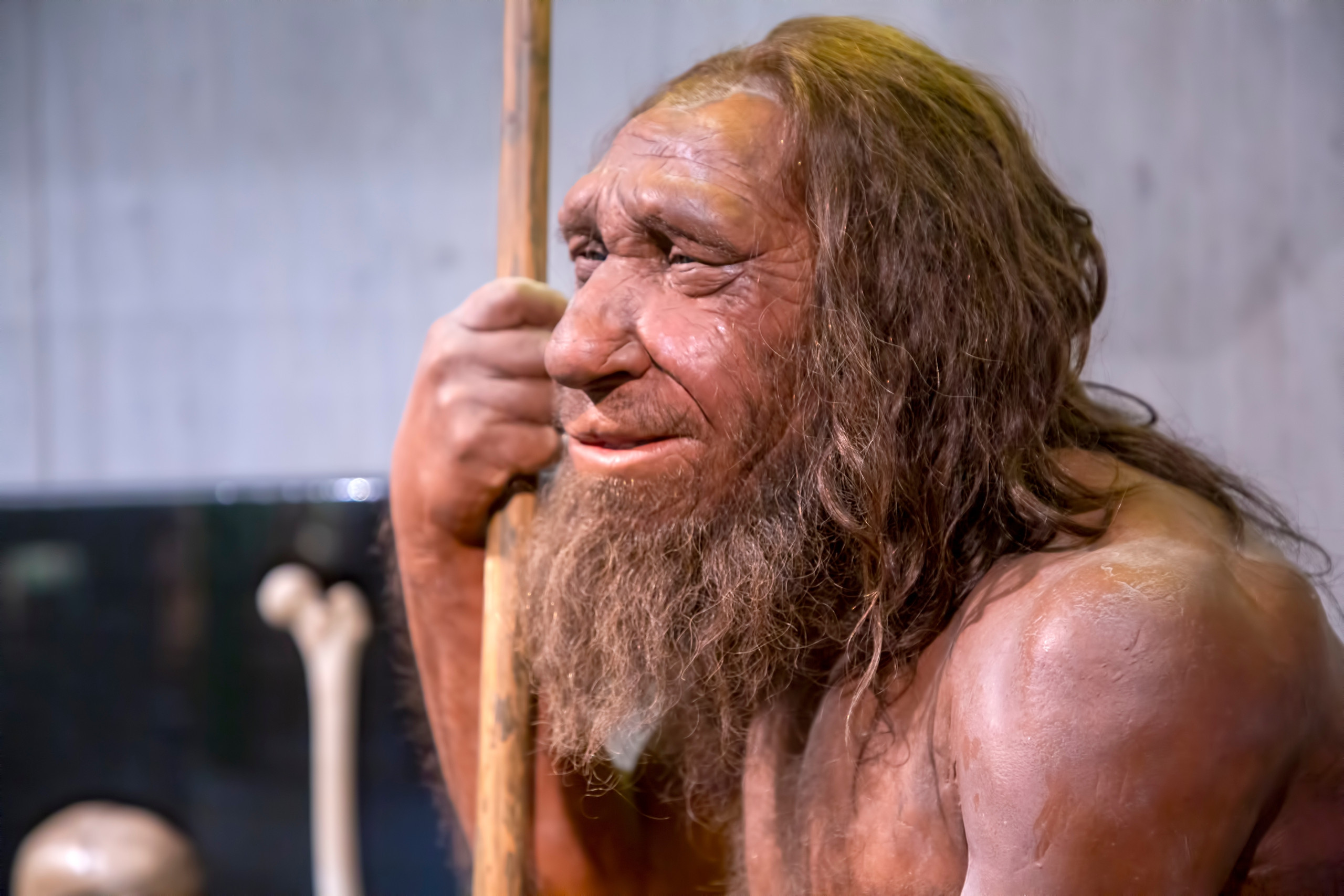 What was the Neanderthal diet like?