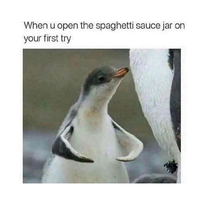 45 Funniest Bird Memes Will Have You Squawking With Laughter