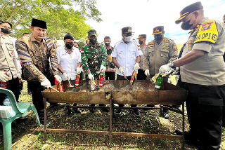 Ratusan Botol Miras dan 7 Kg Ganja Dimusnahkan di Keerom