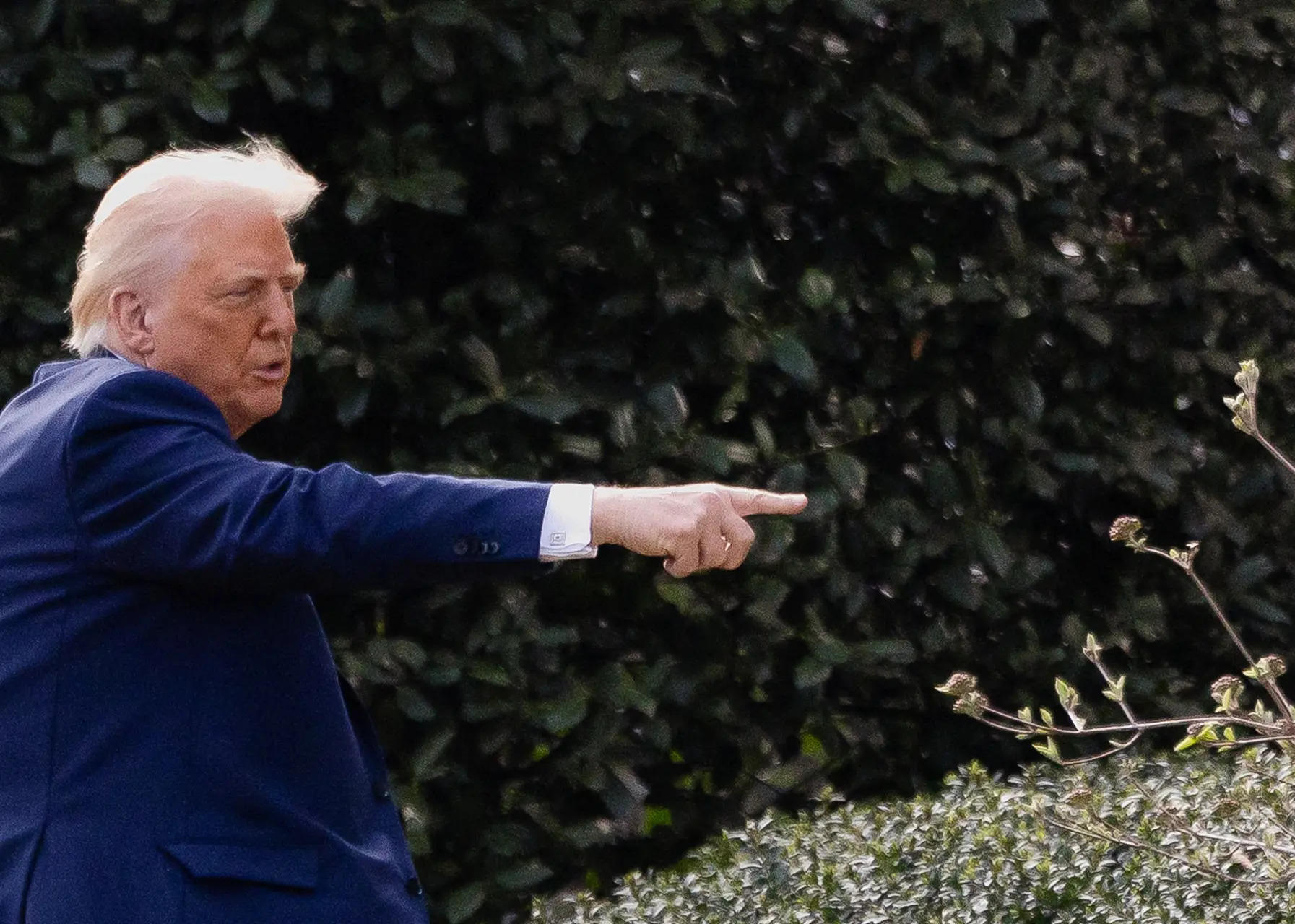 Donald Trump’s signature finger-pointing gesture isn’t random; new ...