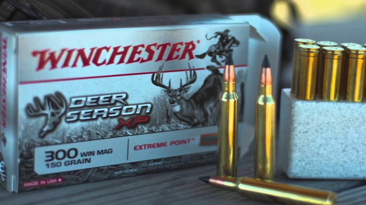 The Best Rifle Ammo for Hunting Deer, Elk, and More