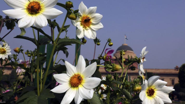 Spring equinox has begun, but what is it exactly?