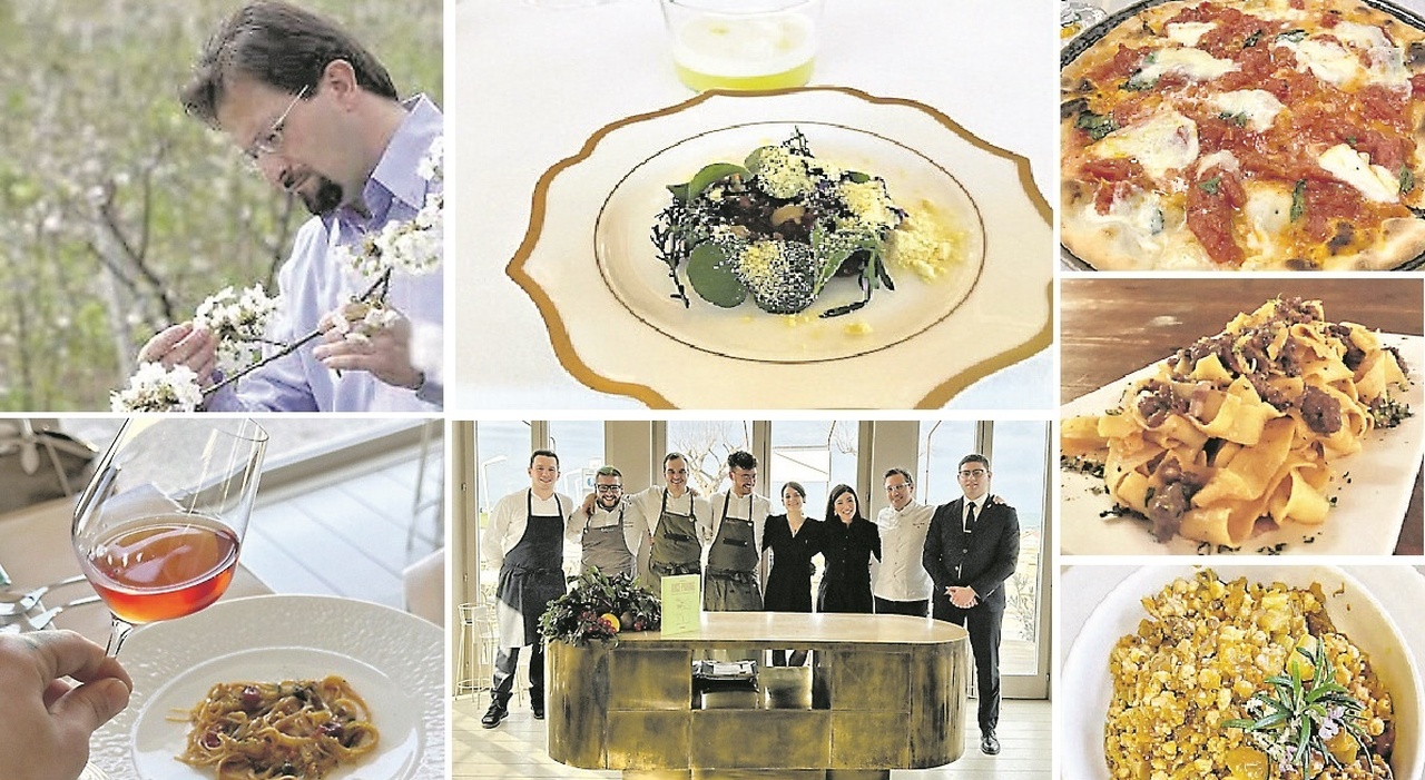 Pizza ciauscolo e Verdicchio o risotto con finocchio, pera e arancio ...