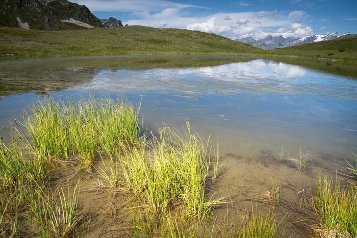 Unveiling the Dominance of Nonliving Carbon Pools in Terrestrial Sinks