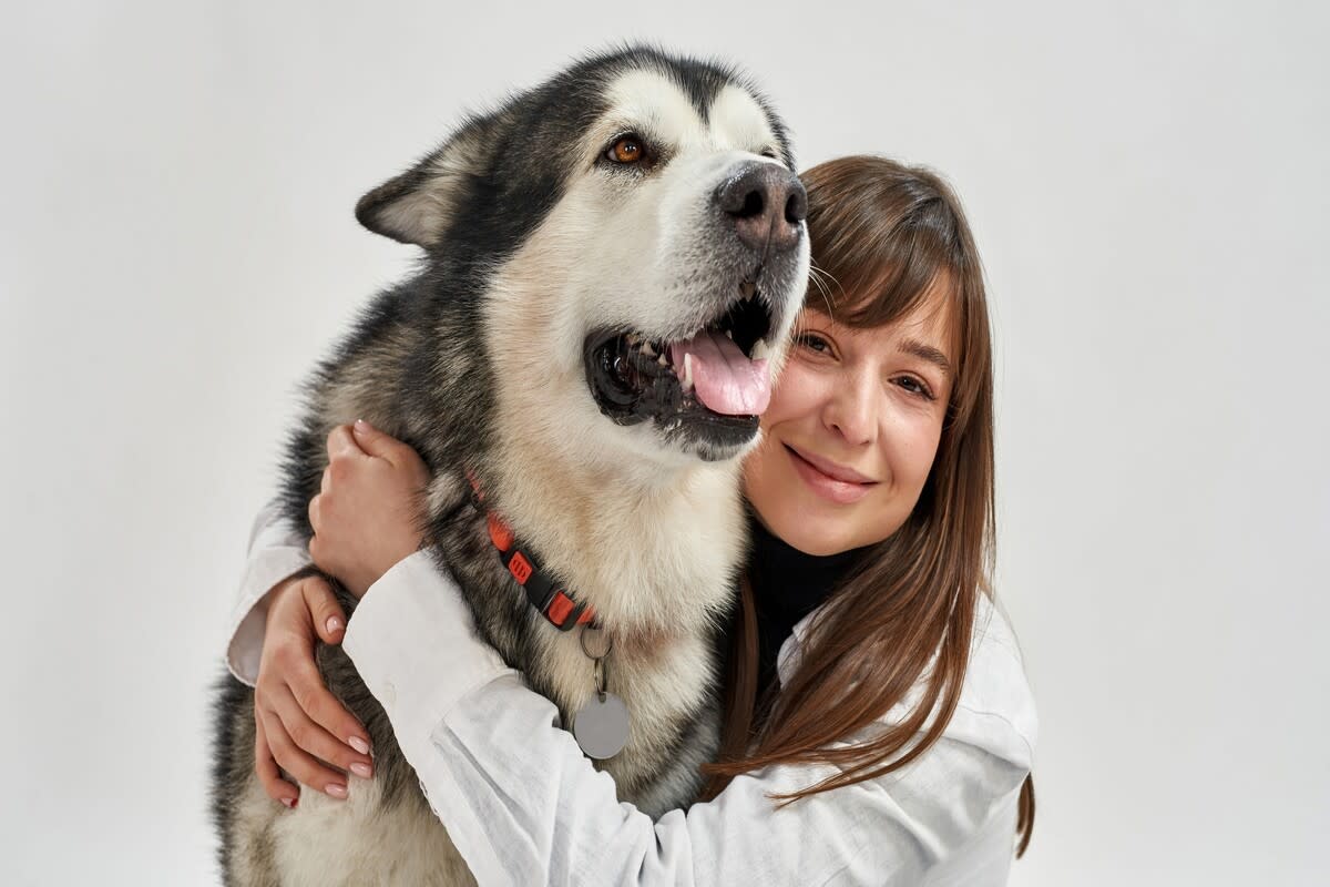 Hilarious Video Gives Brilliant Insight Into How Dogs See Humans