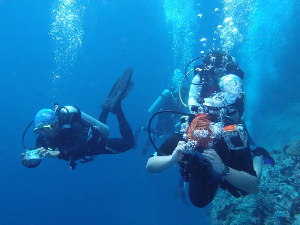 13 Stories Of Deep-Sea Divers Who Encountered Creatures That Shouldn’t ...